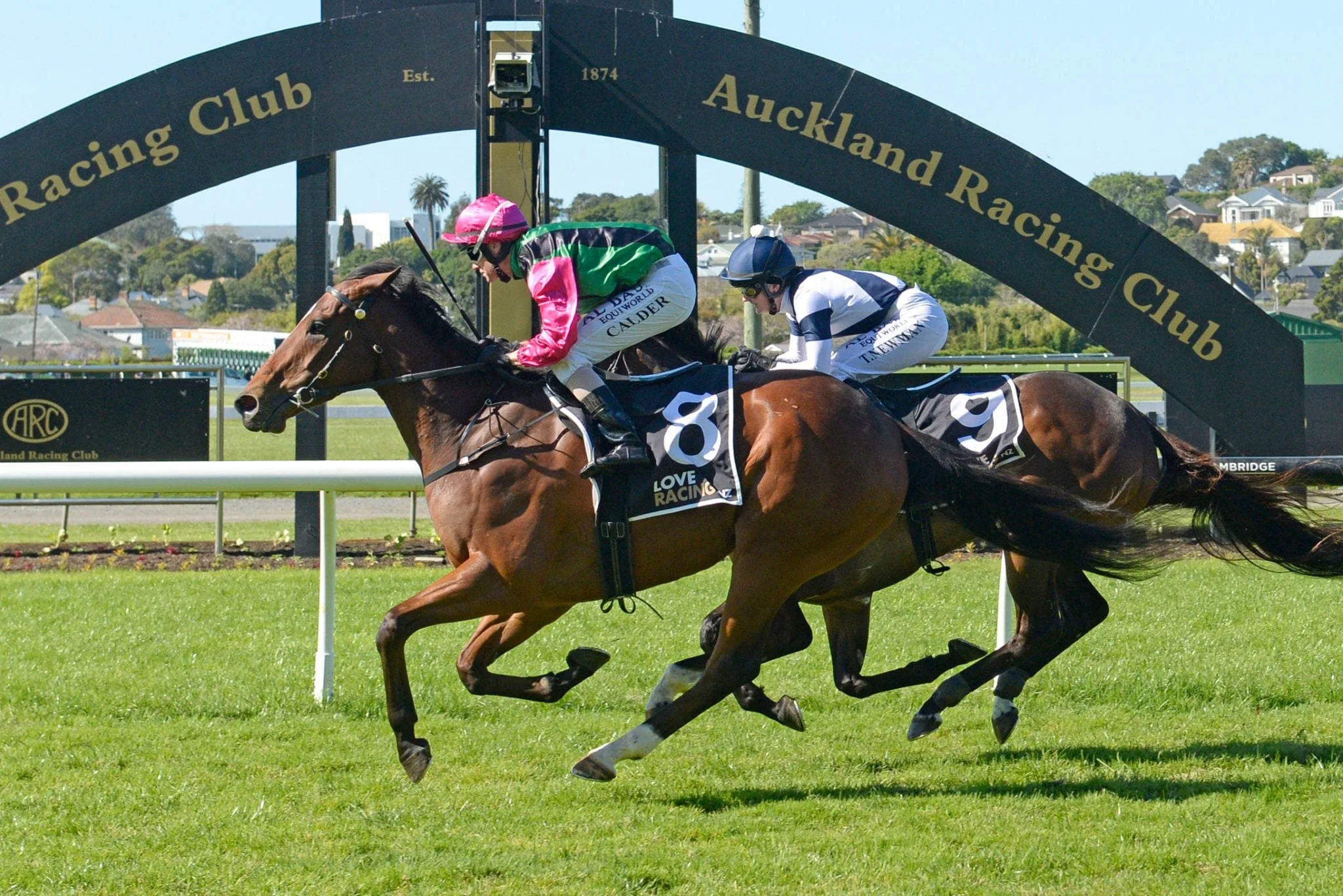 Ambassador Travel Services | Welcome to the World of Horse Racing