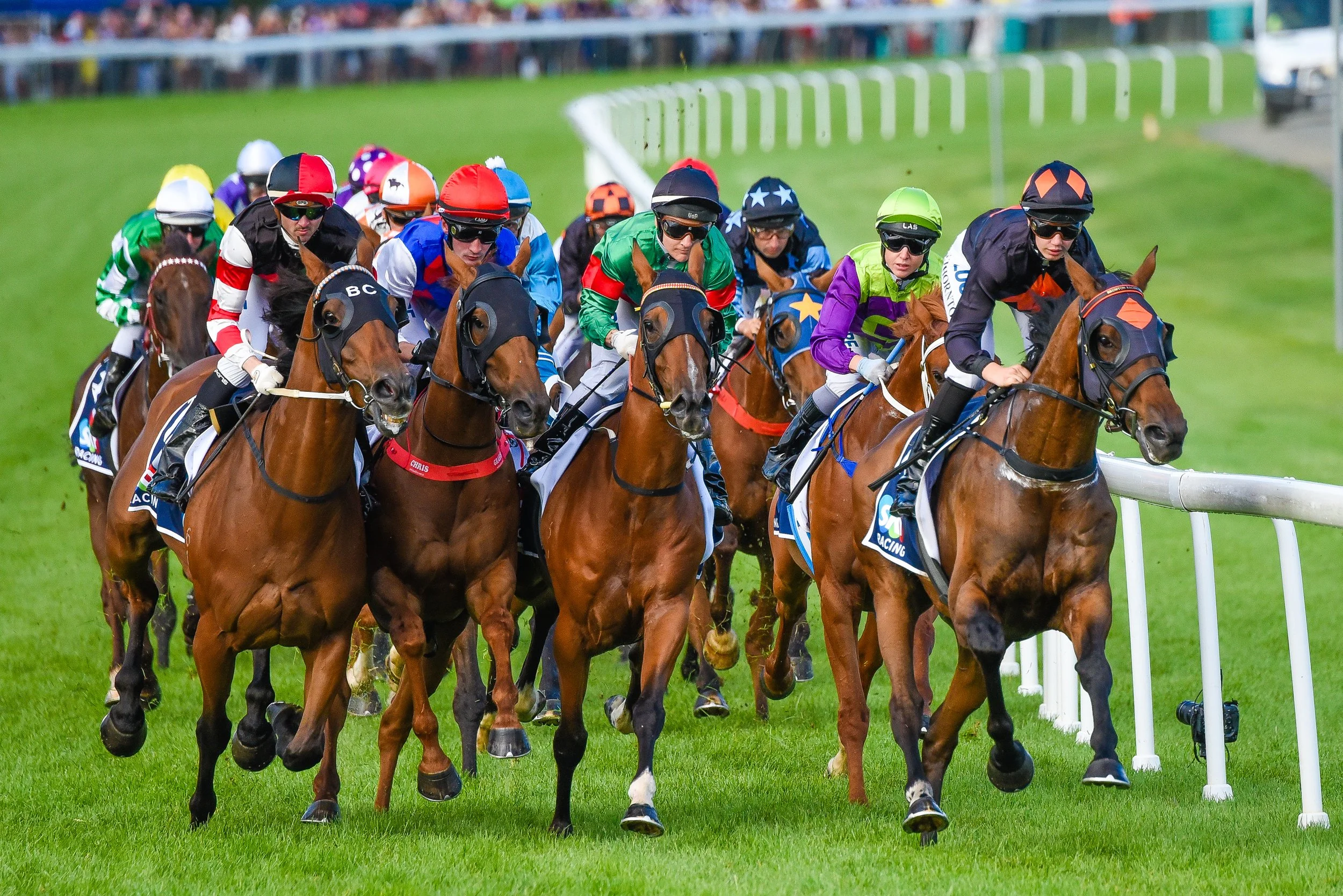 Ambassador Travel Services | Welcome to the World of Horse Racing