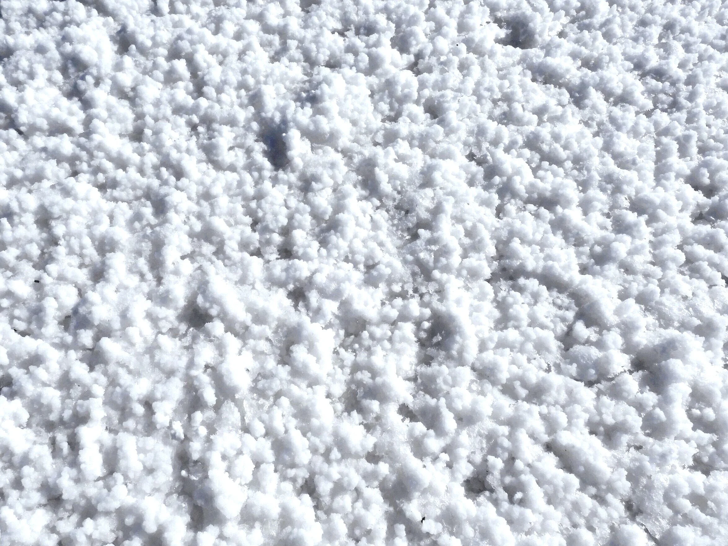 grounding (salt flats) — ashley condina