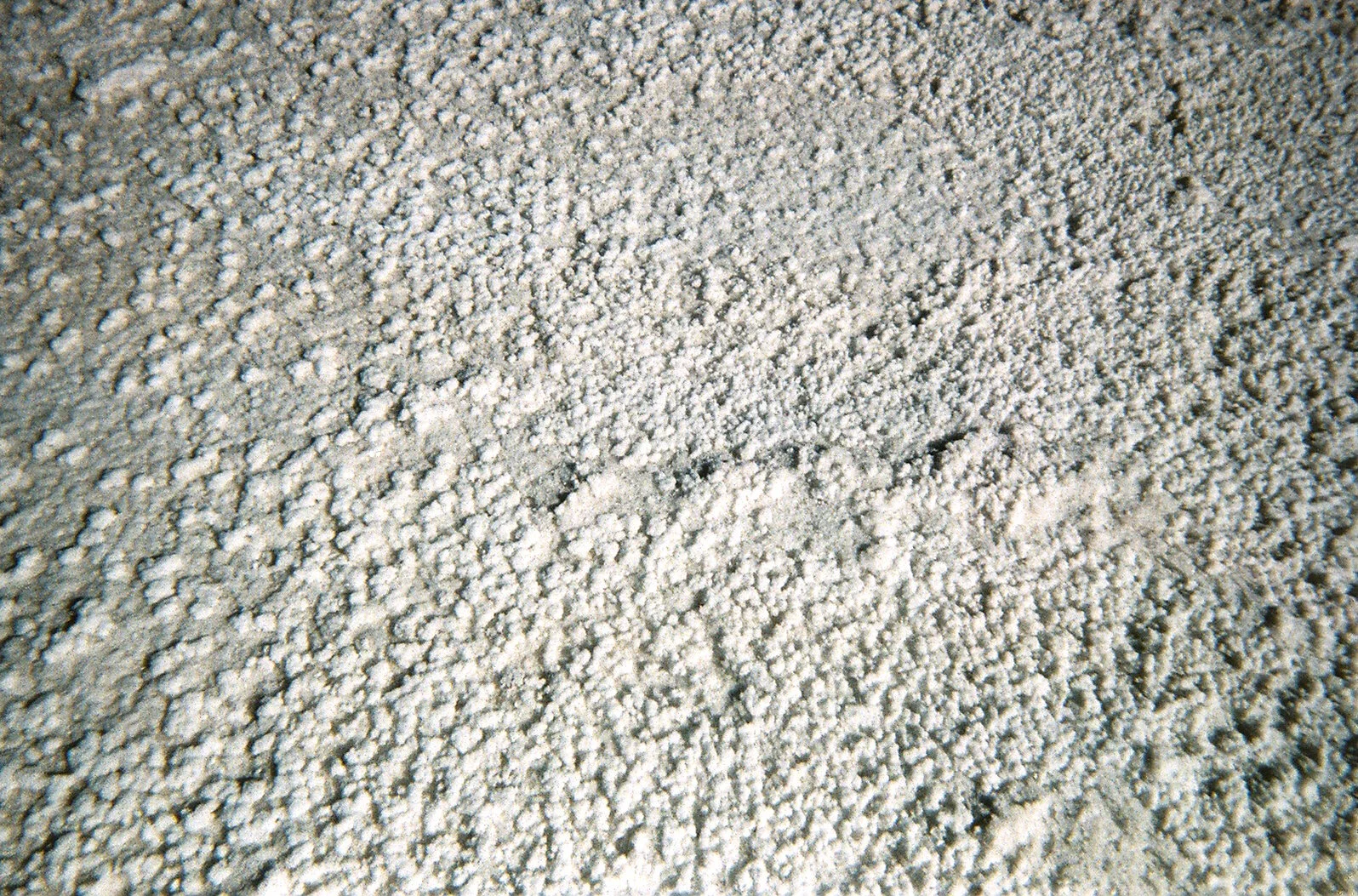 salt ground — ashley condina