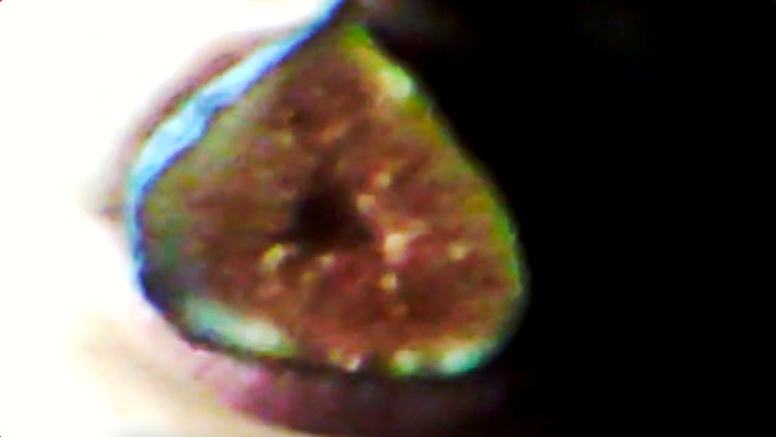 preservation act 01 — ashley condina