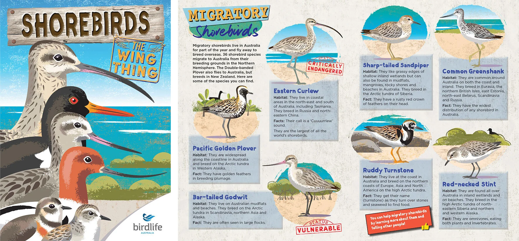 Birdlife Australia Shorebirds Booklet — Hobsons Bay Wetlands Centre