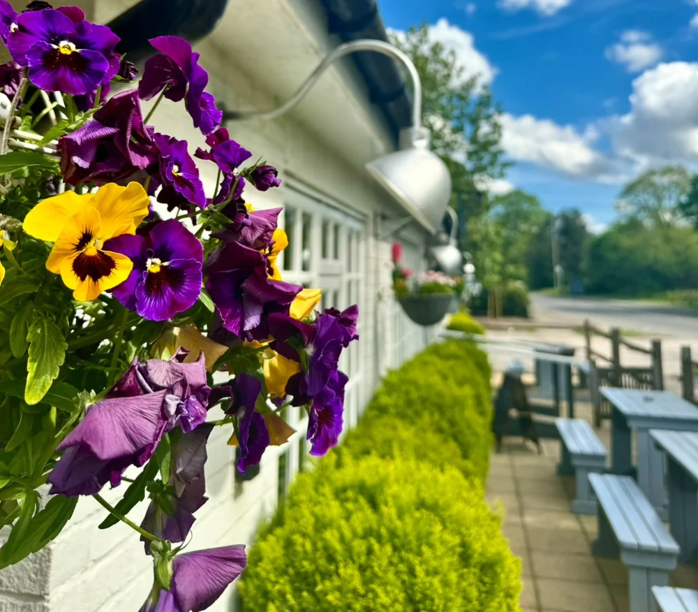 BIRD IN HAND - Mayford, Woking