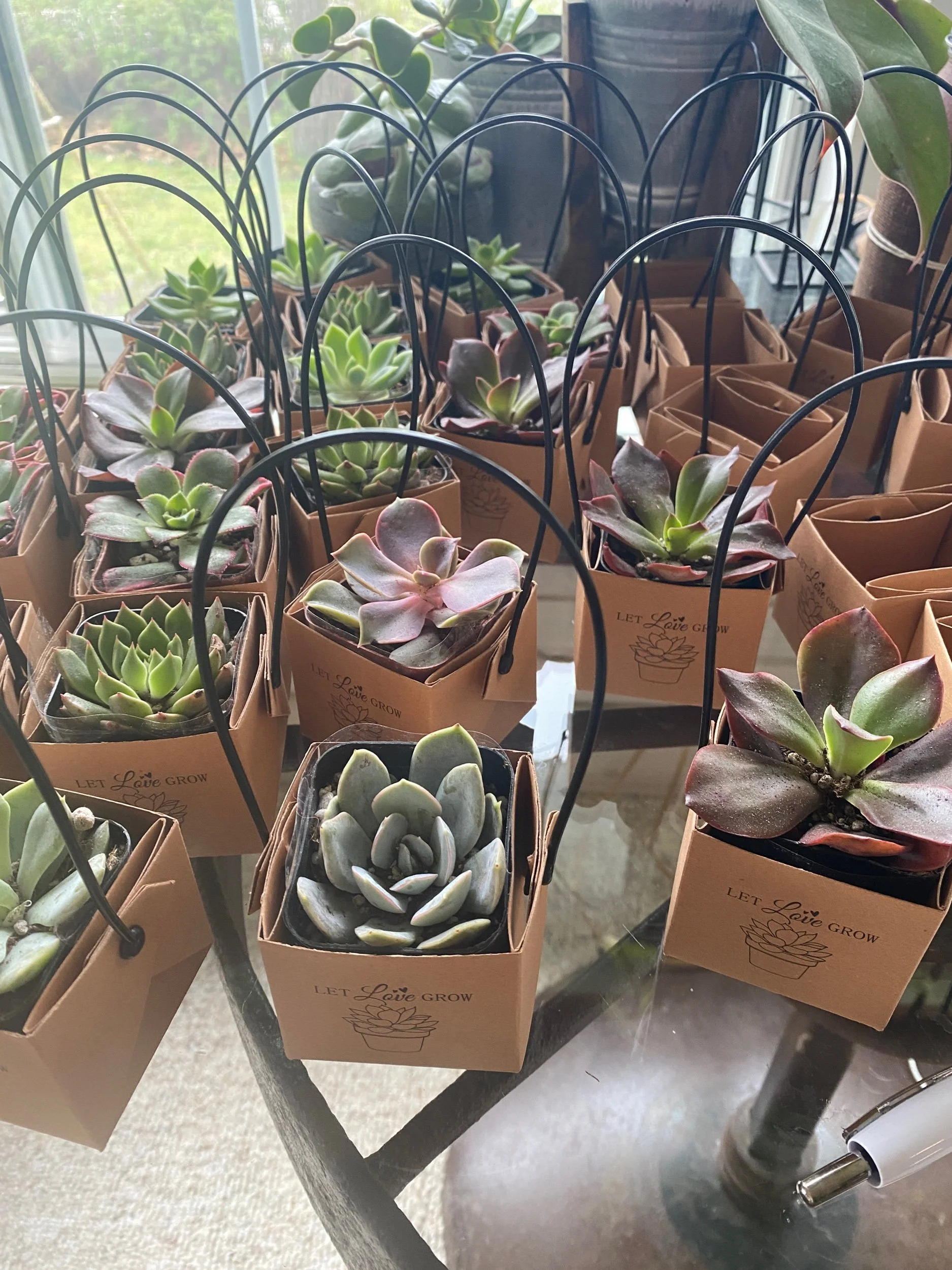 Fresh Flowers — Chicken Shed Primitives