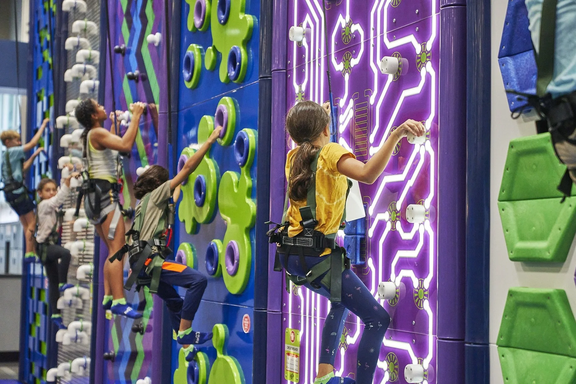 Climbing Attractions — Rock N Air