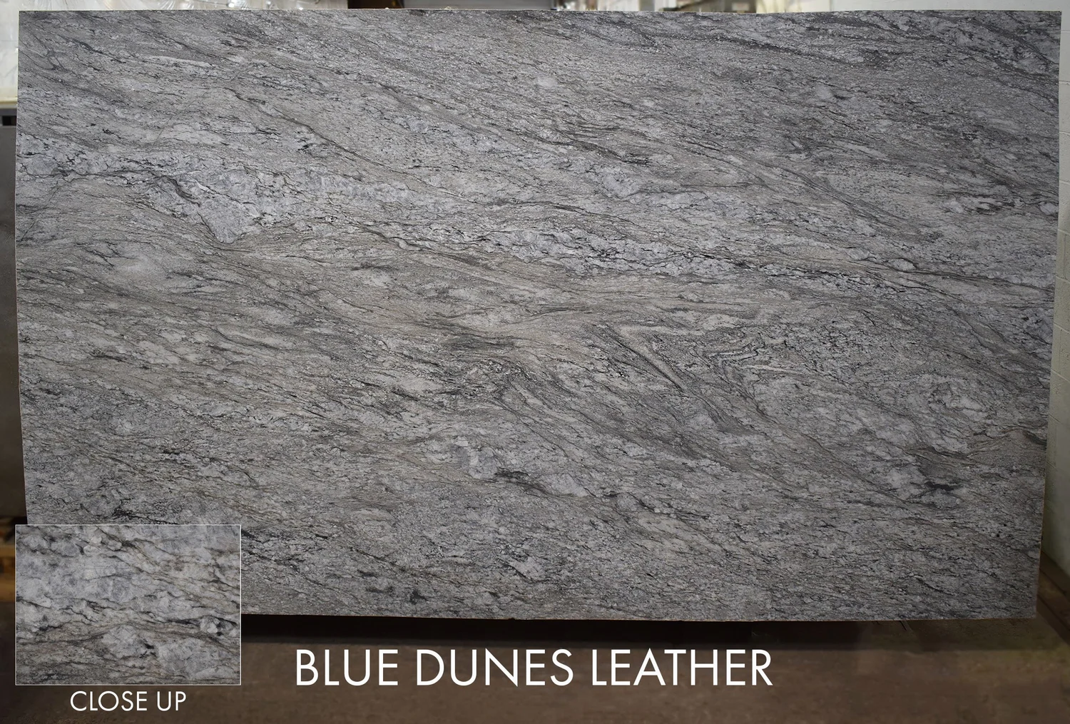 Blue Dunes Leather — EleMar New England