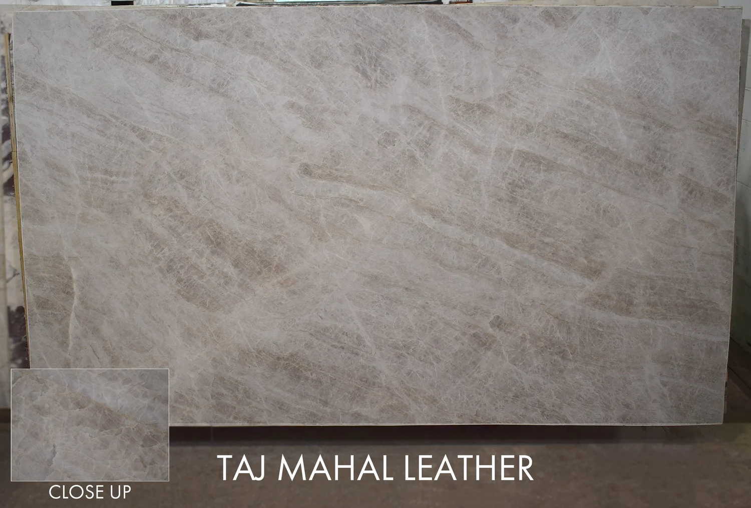 Taj Mahal Leather Quartzite 3cm — EleMar New England