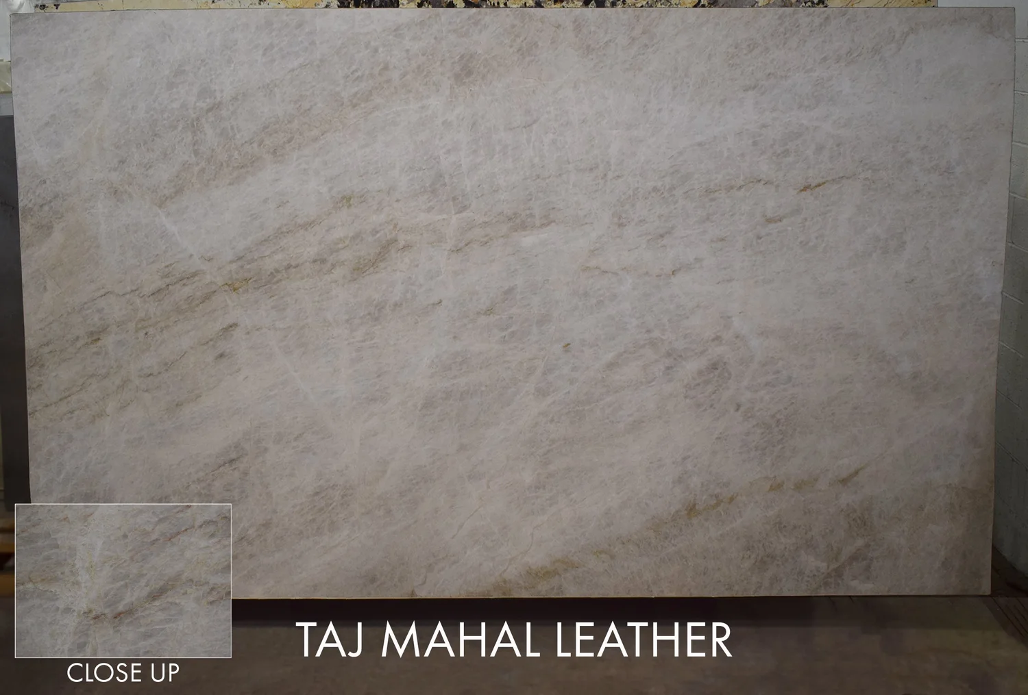 Taj Mahal Leather Quartzite 3cm — EleMar New England