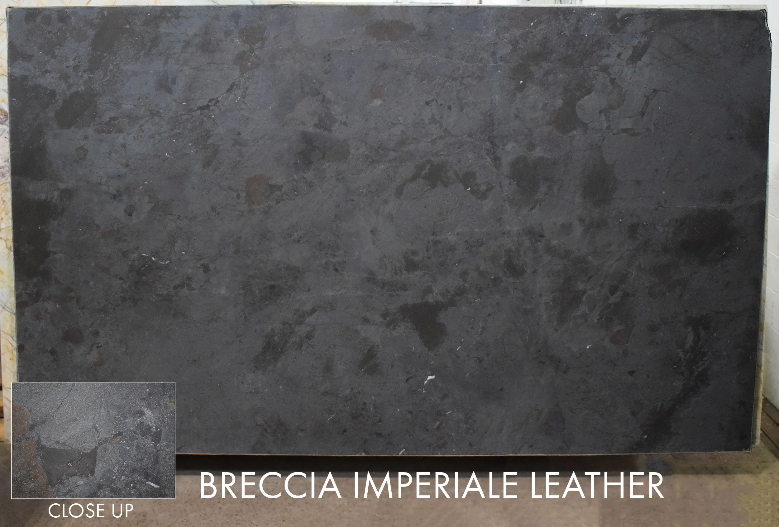 Leather/Honed materials — EleMar New England