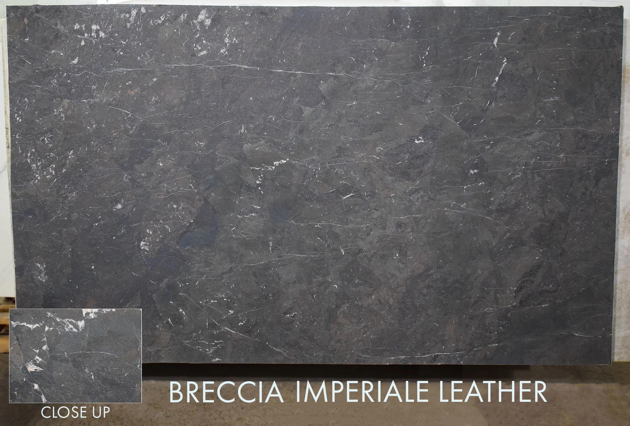 Breccia Imperiale Leather — EleMar New England