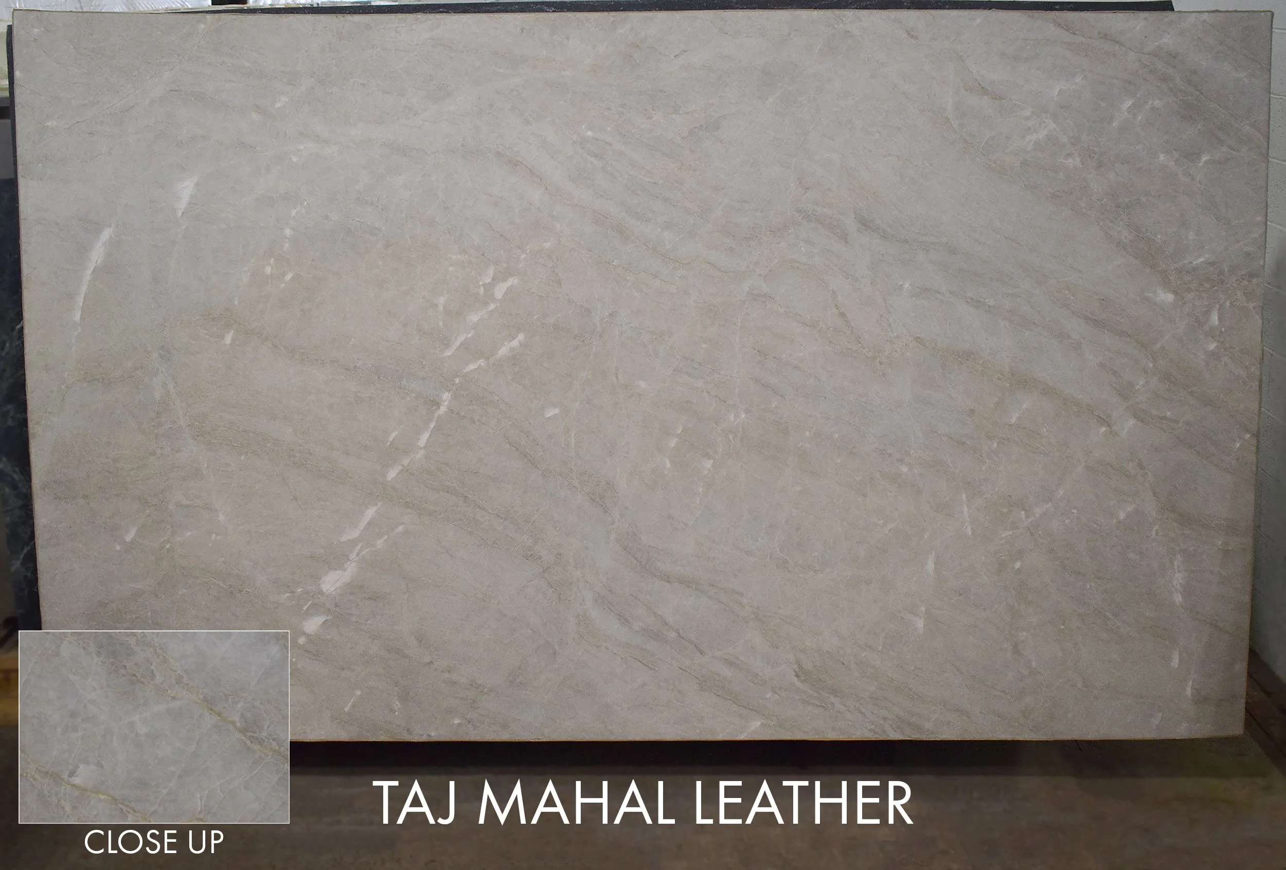 Taj Mahal Leather — EleMar New England