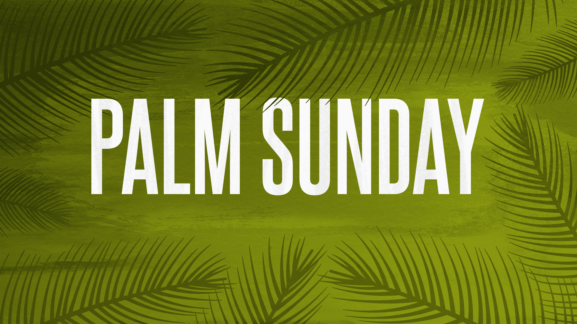 Temporary Praise or Eternal Adoration? (Palm Sunday 2026) (Brady ...