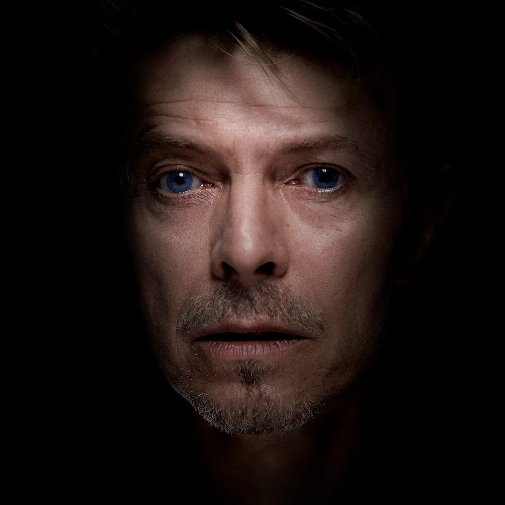 bowie — gavin evans- autofocus