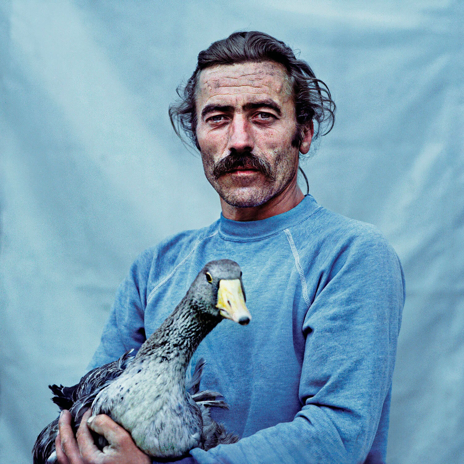 gavin evans- autofocus