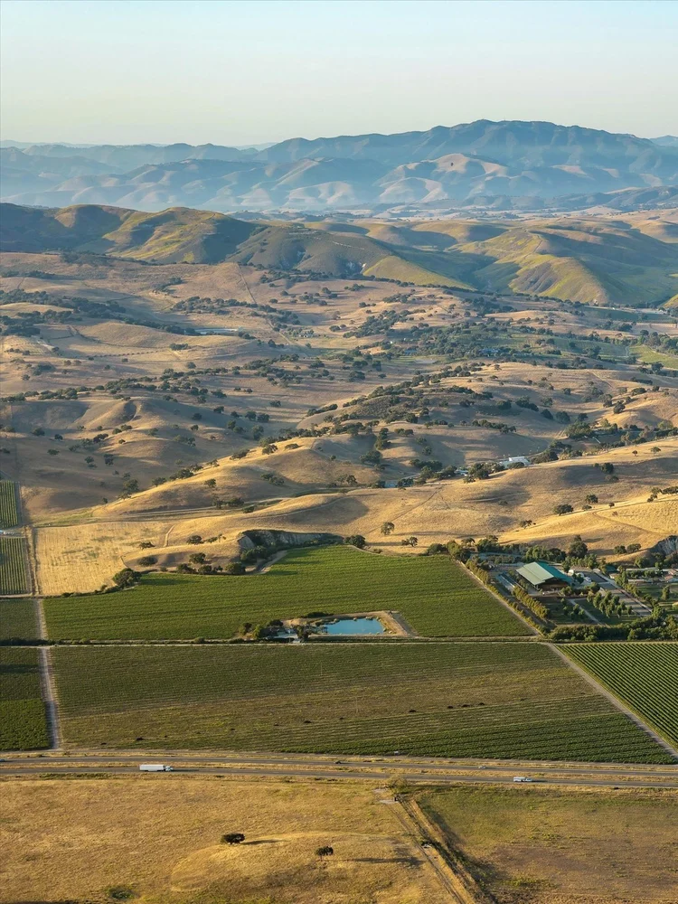 The Lucas & Lewellen Legacy Vineyards — Coastal Ranch