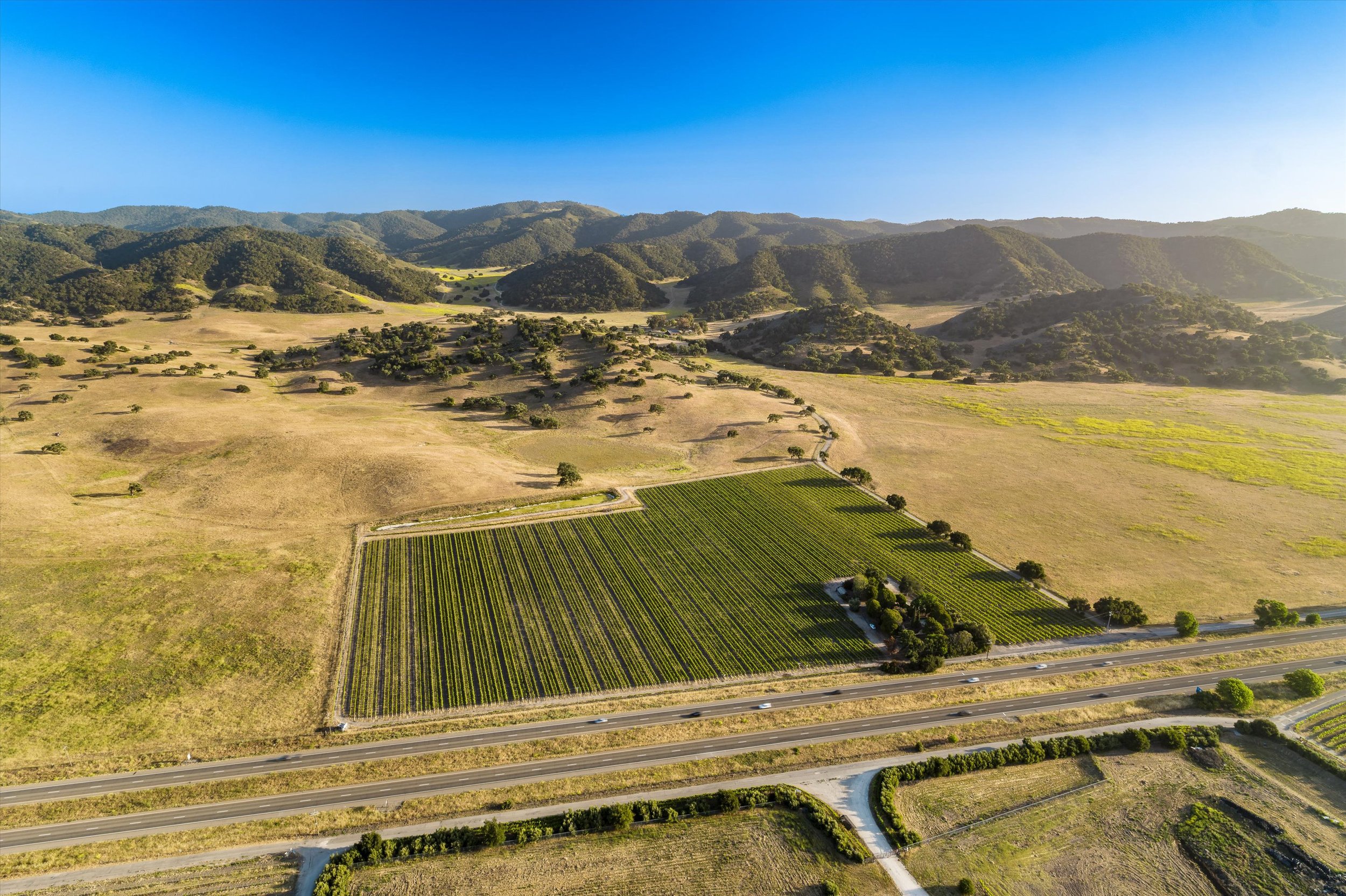 The Lucas & Lewellen Legacy Vineyards — Coastal Ranch