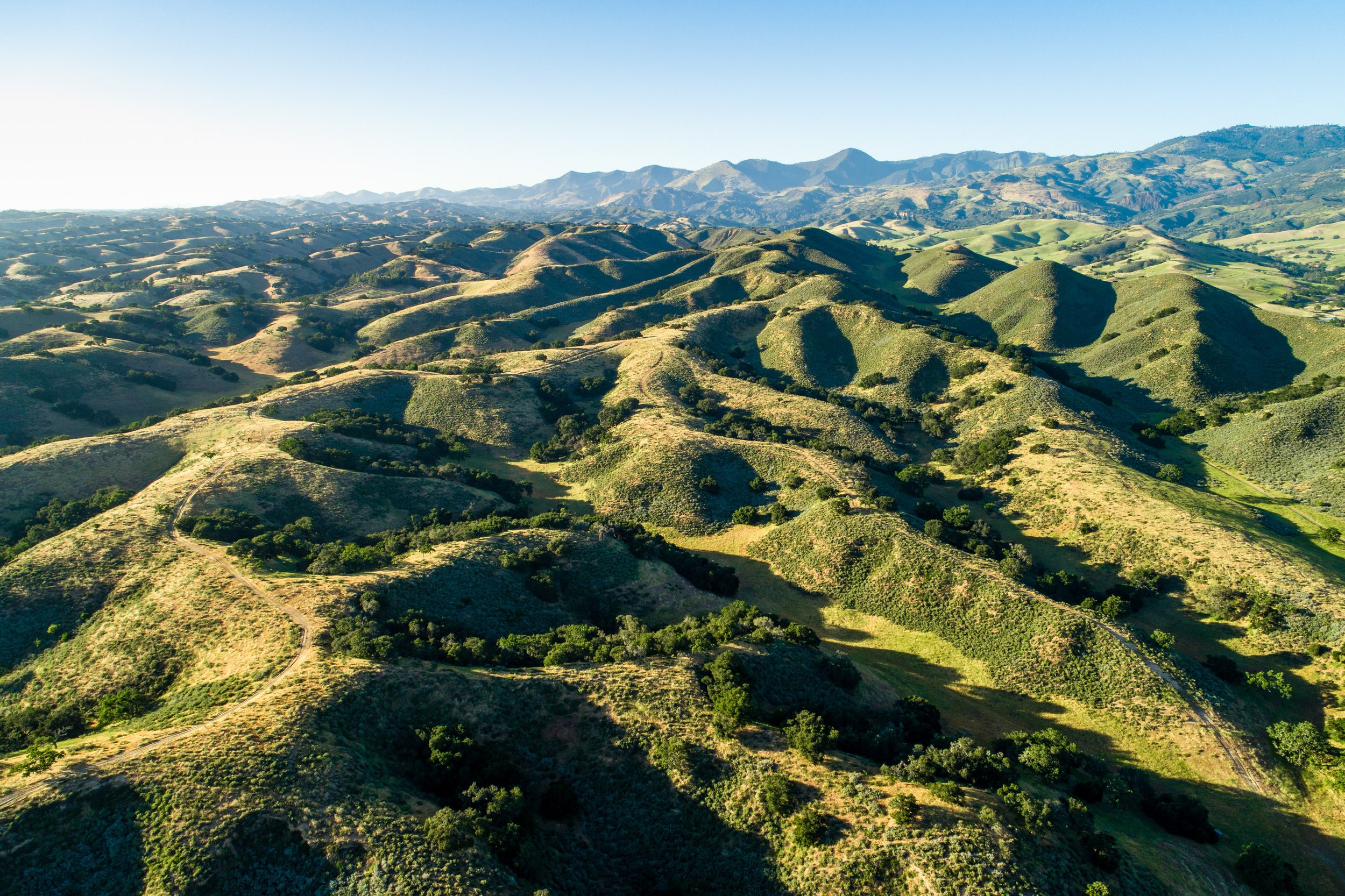 Conservation — Coastal Ranch