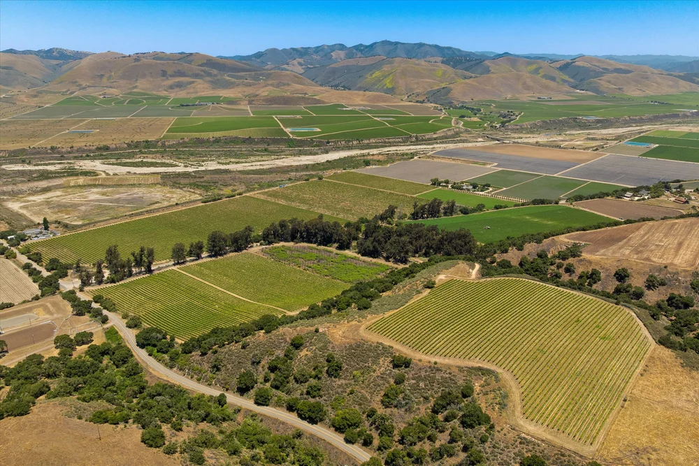 The Lucas & Lewellen Legacy Vineyards — Coastal Ranch
