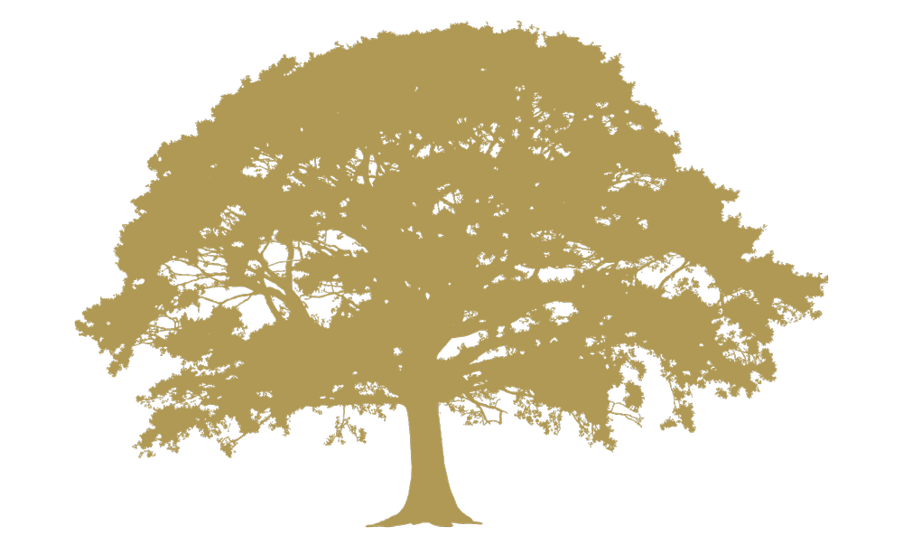 Coastal Ranch | Explore Premier Properties