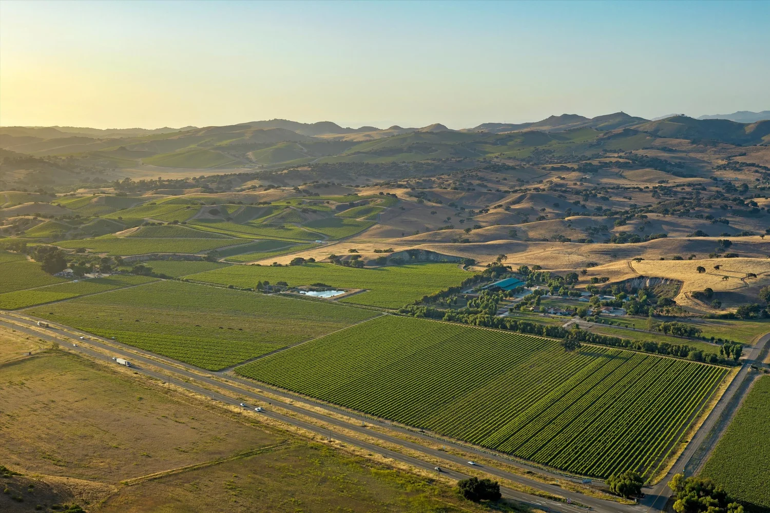 The Lucas & Lewellen Legacy Vineyards — Coastal Ranch