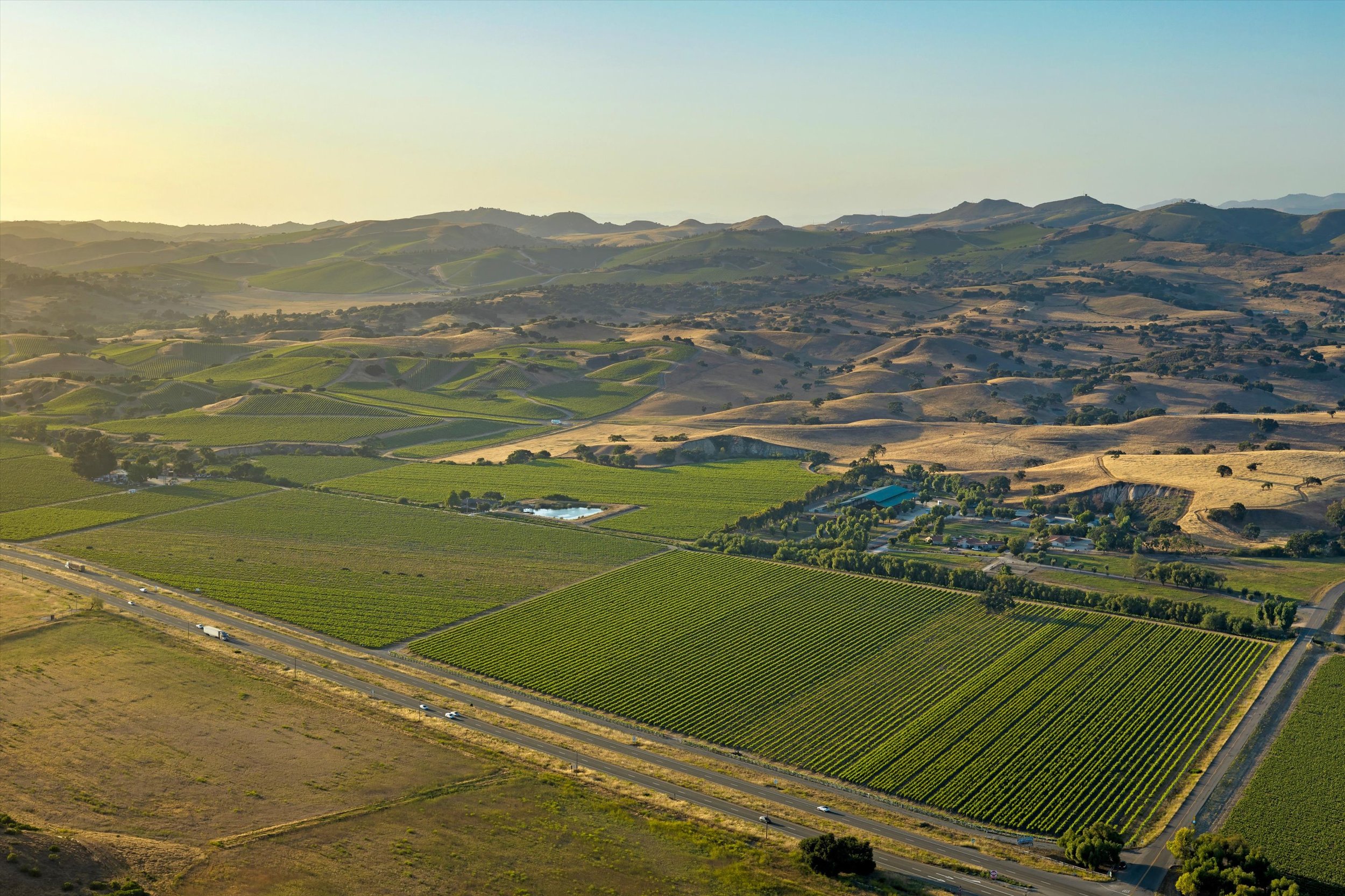 The Lucas & Lewellen Legacy Vineyards — Coastal Ranch