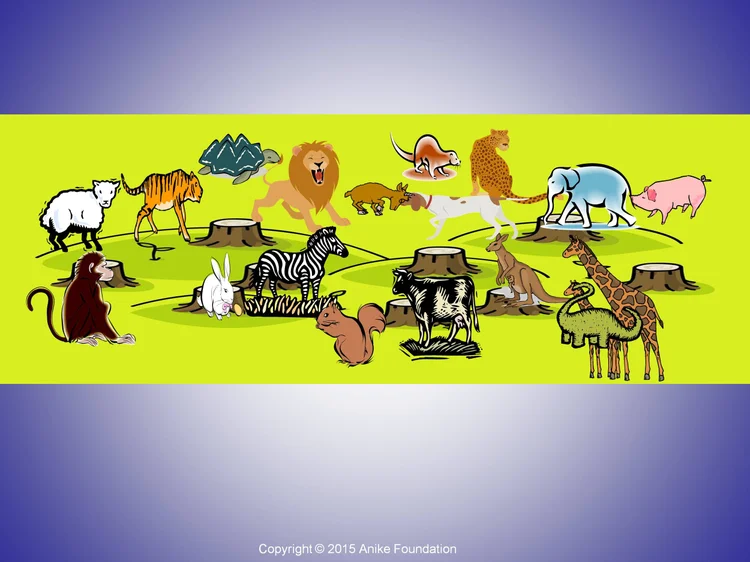 African Folktale - The Dog and the Greedy Tortoise — Anike Foundation