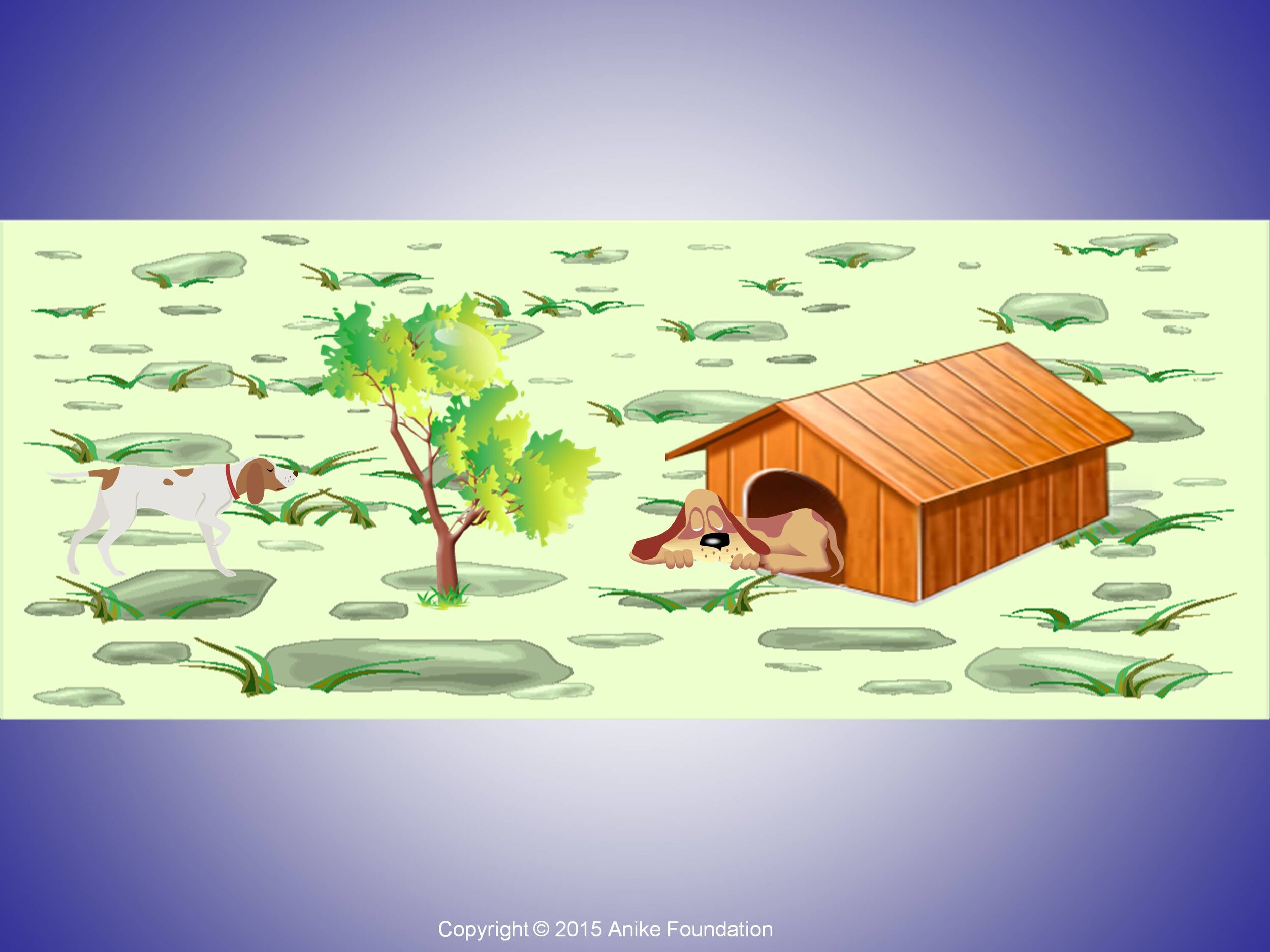 African Folktale - The Dog and the Greedy Tortoise — Anike Foundation