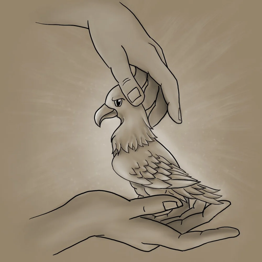 Why The Eagle Flies Higher than Other Birds — Anike Foundation