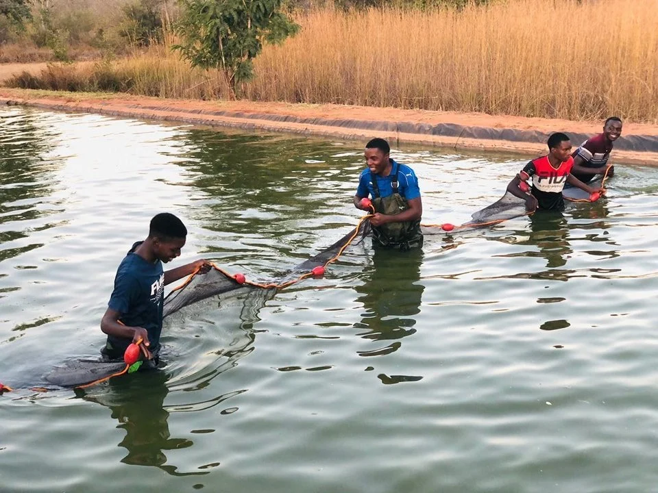 ANIKE FOUNDATION ASSISTS PARTNER ORGANIZATION OBTAIN A GRANT FOR FISH ...