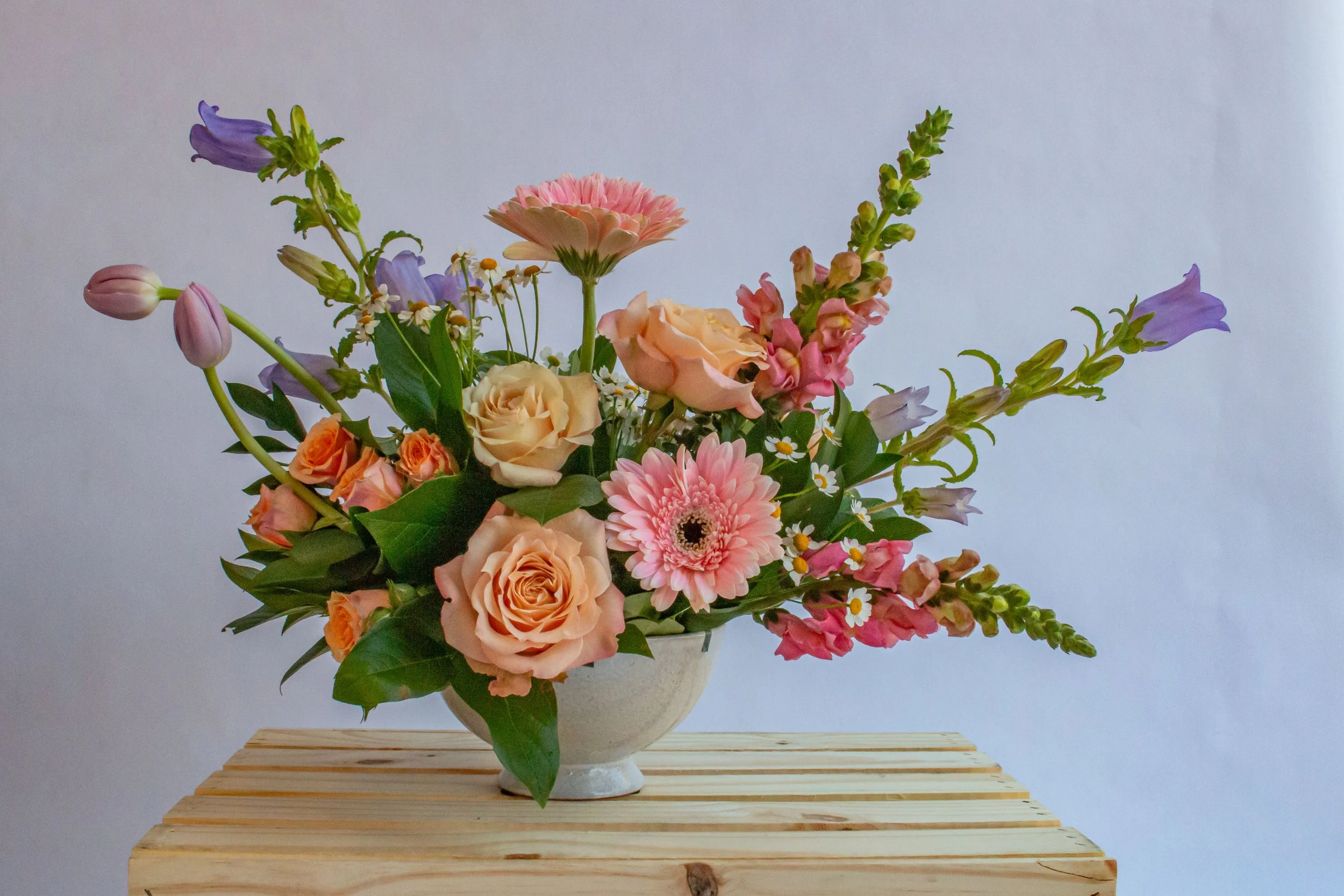 Jasmine Jo & Rowan Tree