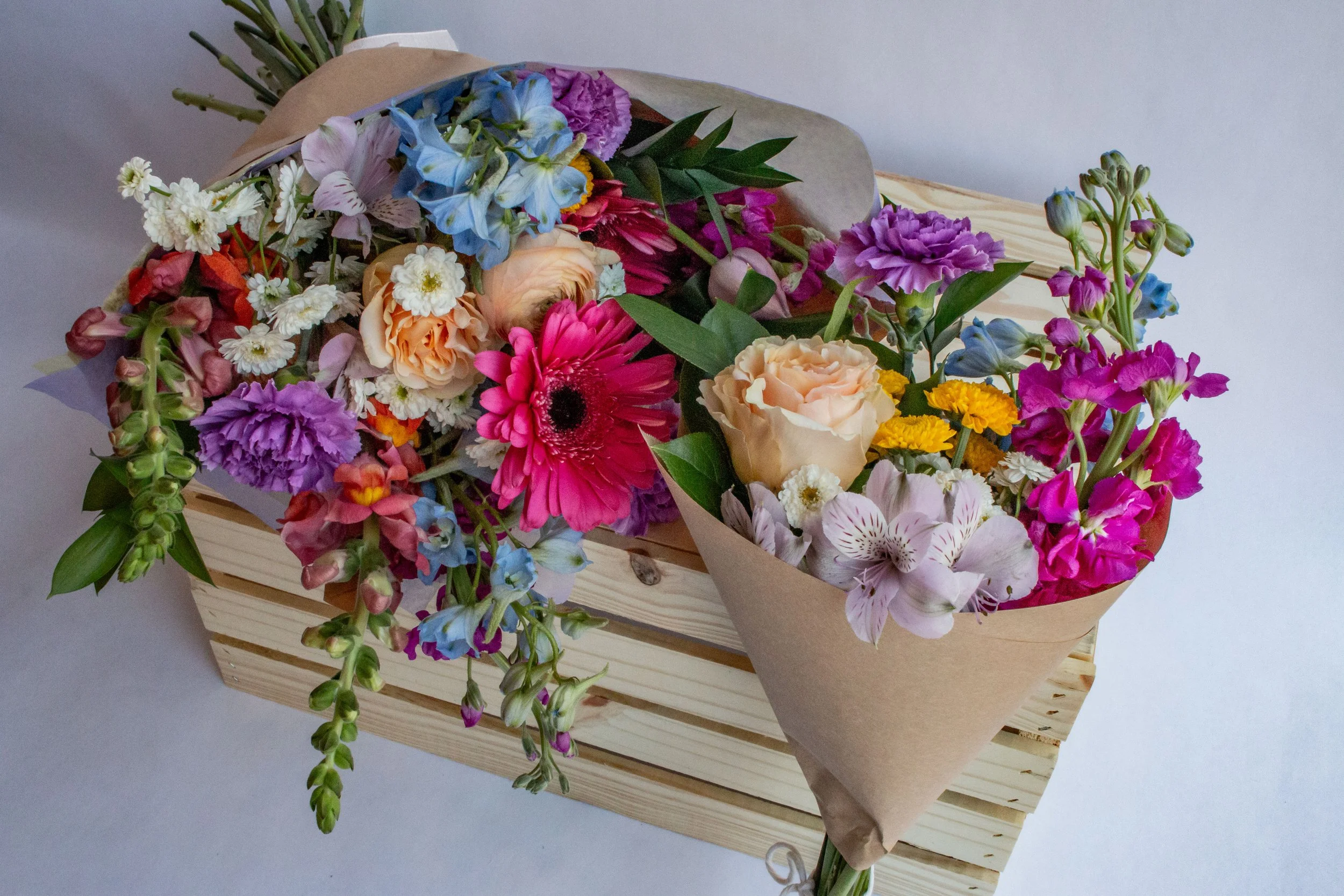 Jasmine Jo & Rowan Tree