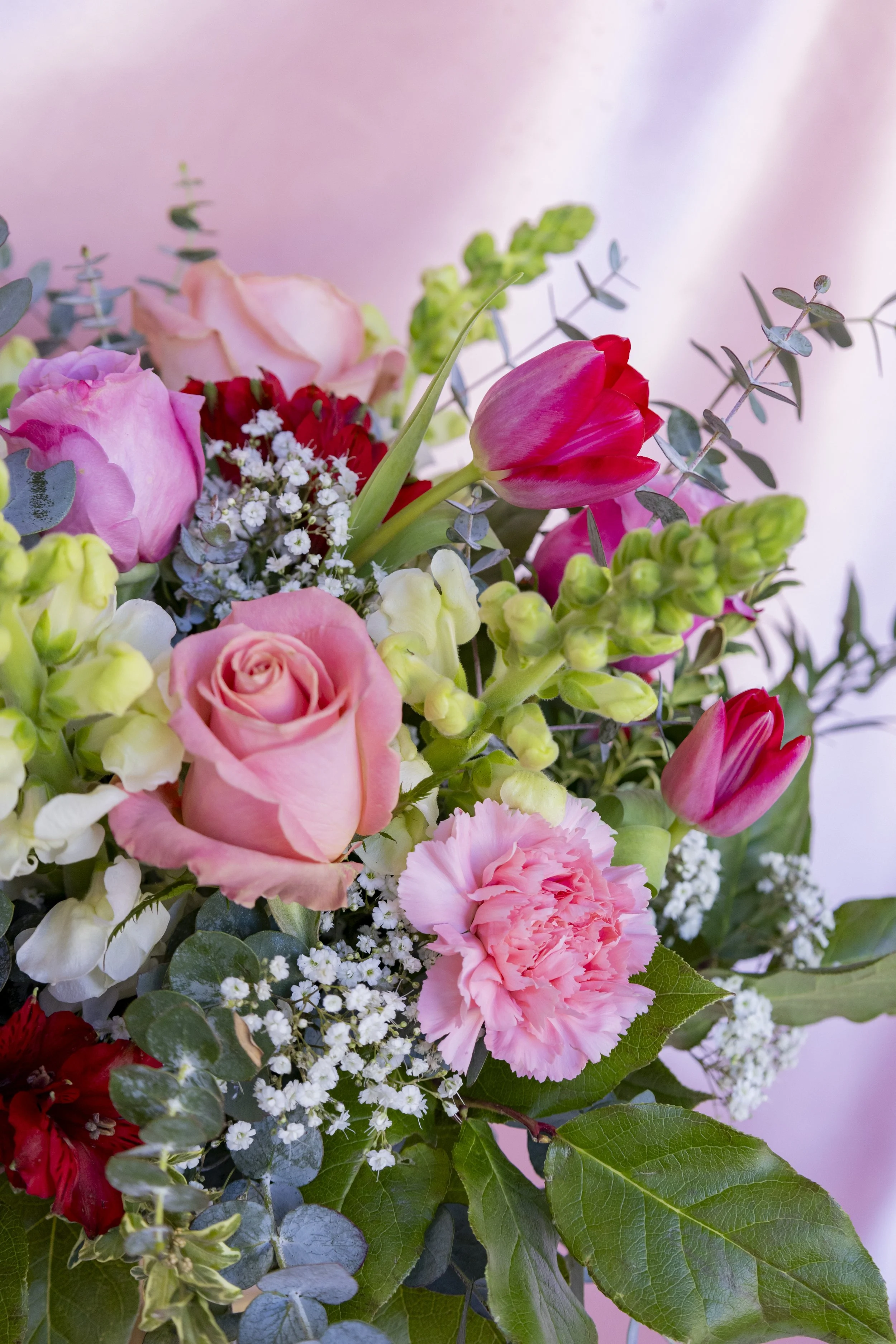 Jasmine Jo & Rowan Tree