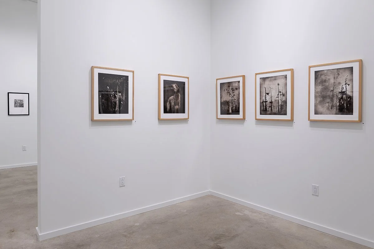 Keith Carter: Ghostlight Exhibition — PDNB Gallery | Photographs Do Not ...