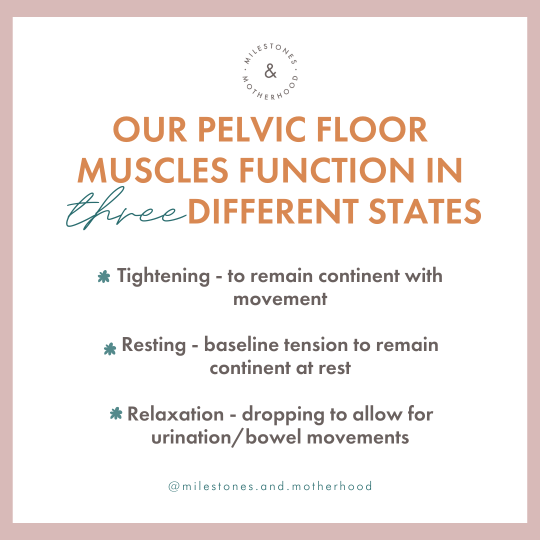 Activities to Do at Home to Improve Pelvic Floor Muscle Function ...