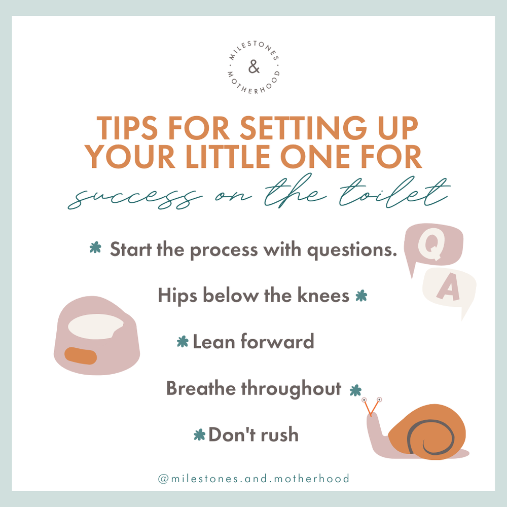 Top 5 Tips for Set Up of Toileting — Milestones & Motherhood