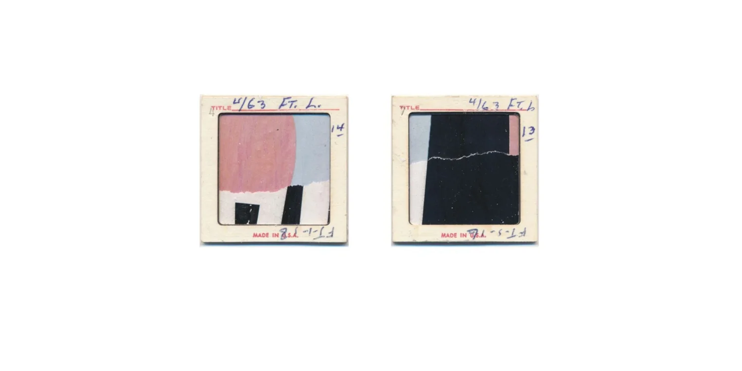 Katie Wolf — Afternoon Visitor