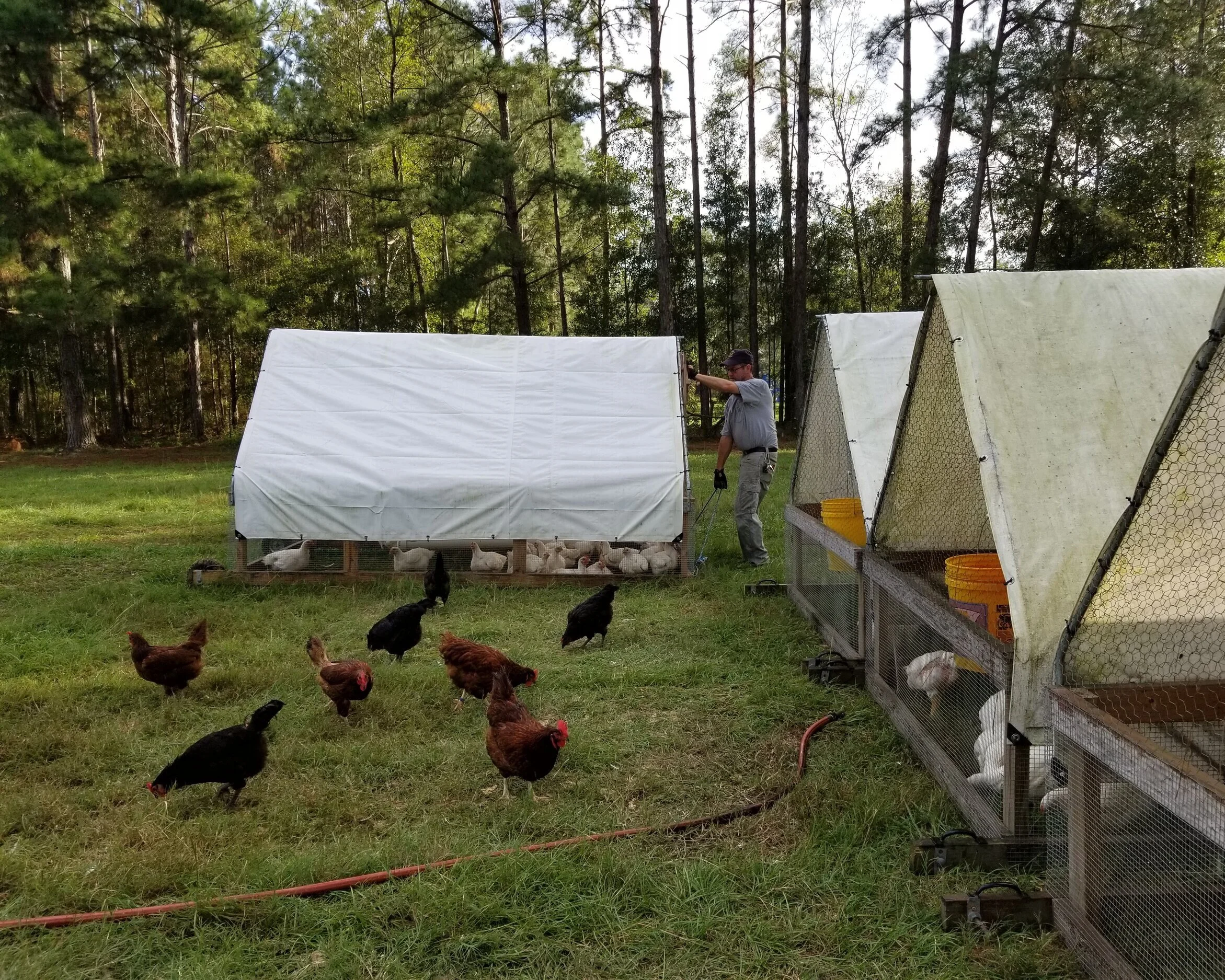 About — Paradise Found Farms