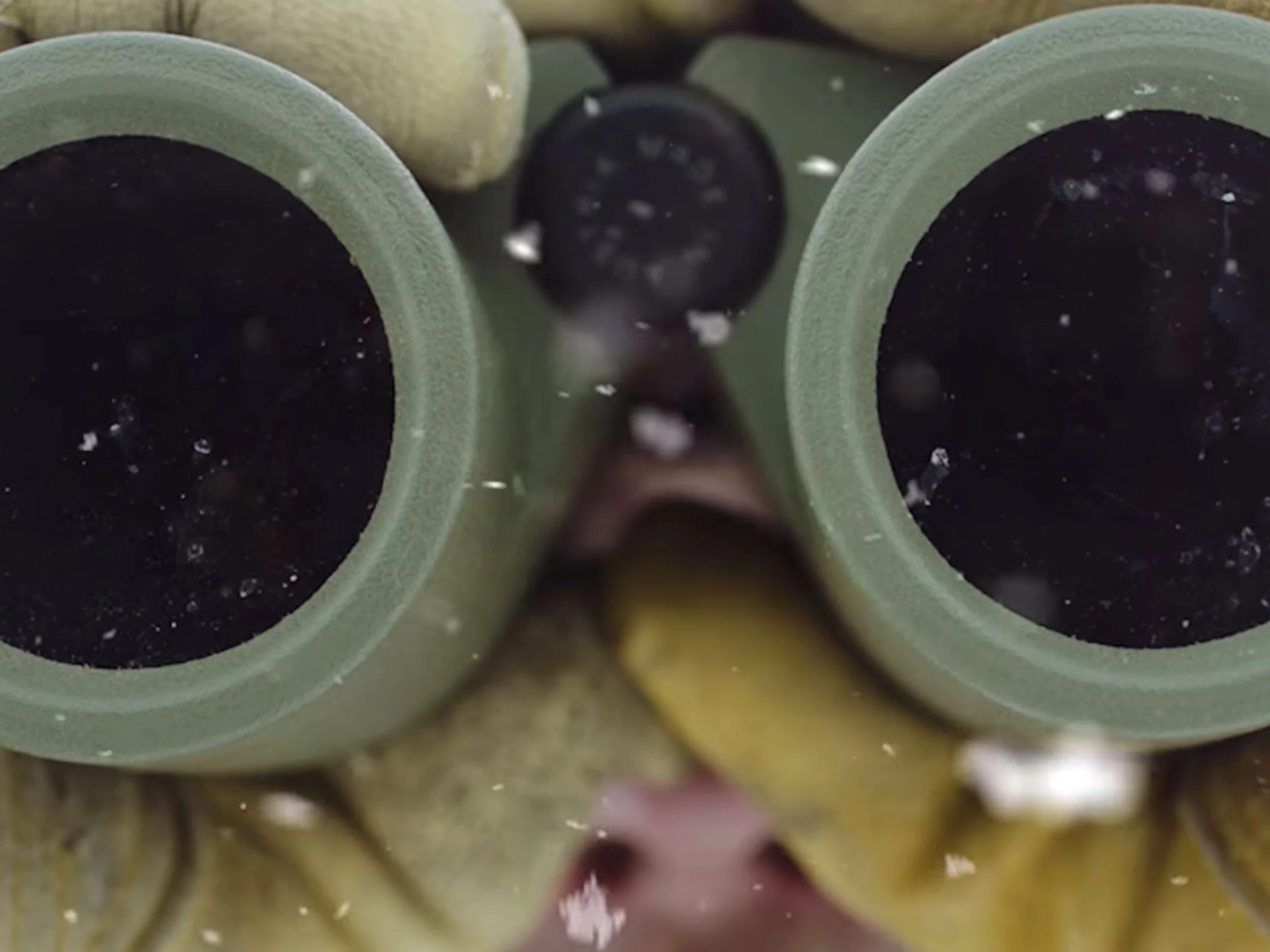 Bill Roden: Creative Director + Writer