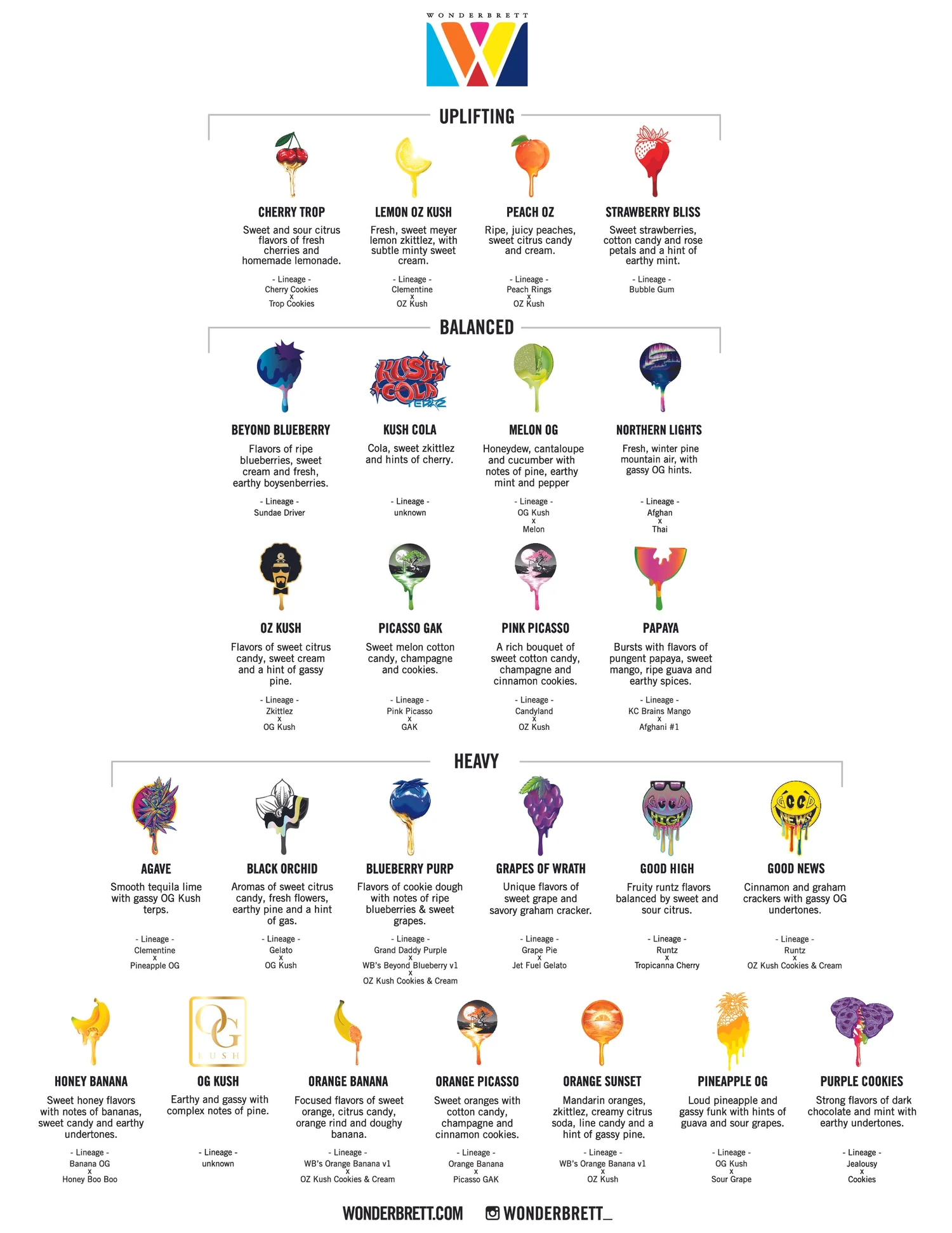 GENETICS — WONDERBRETT