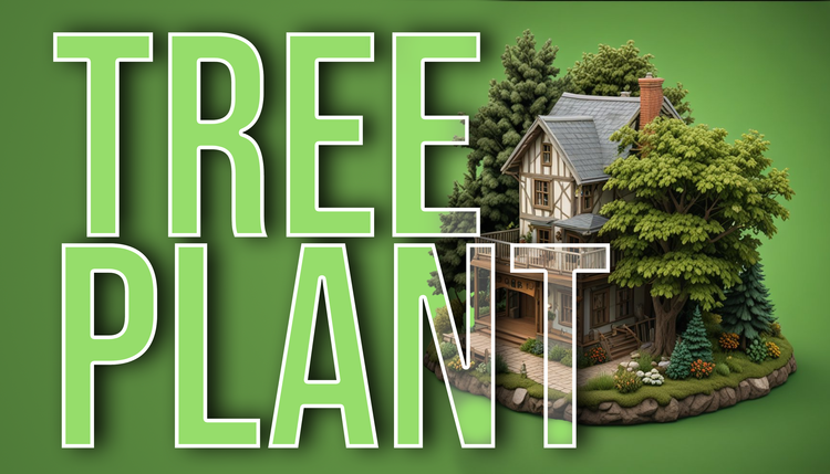 Complete System — Rabbitt Design