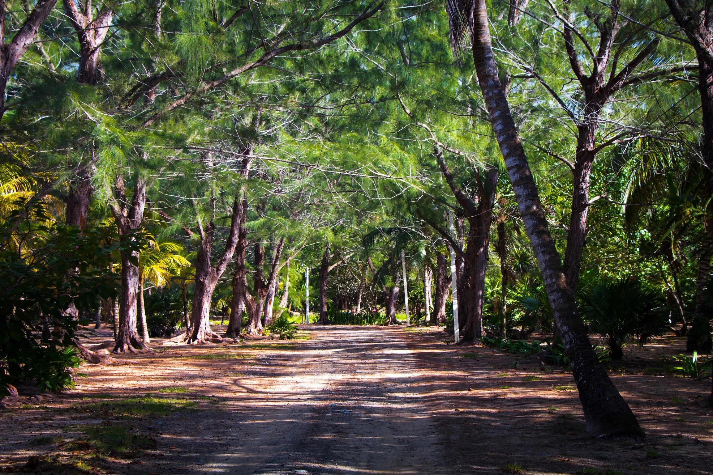 Paya Bay Resort — ROATAN