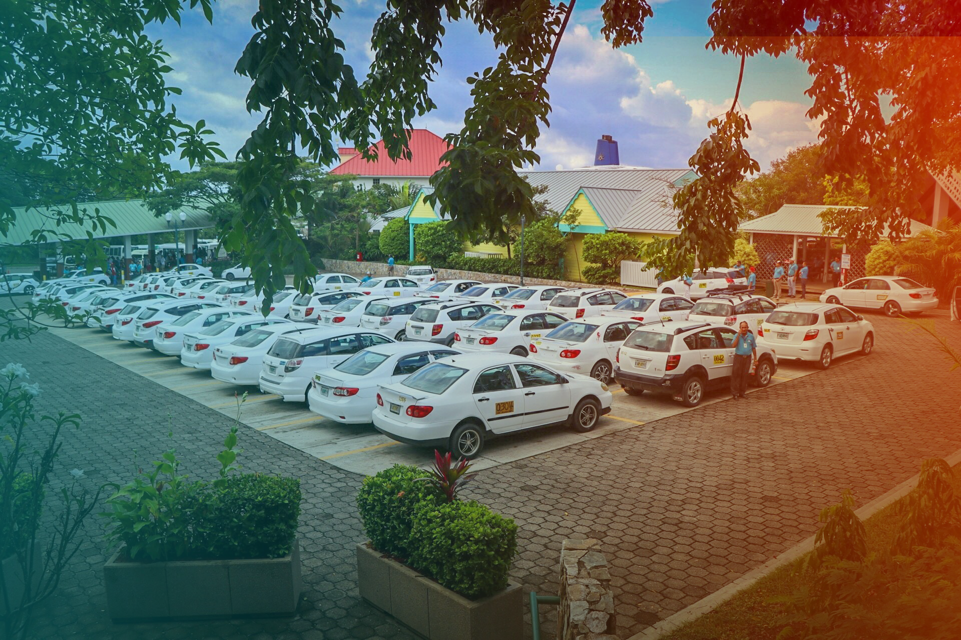 Roatan Rum Company — ROATAN