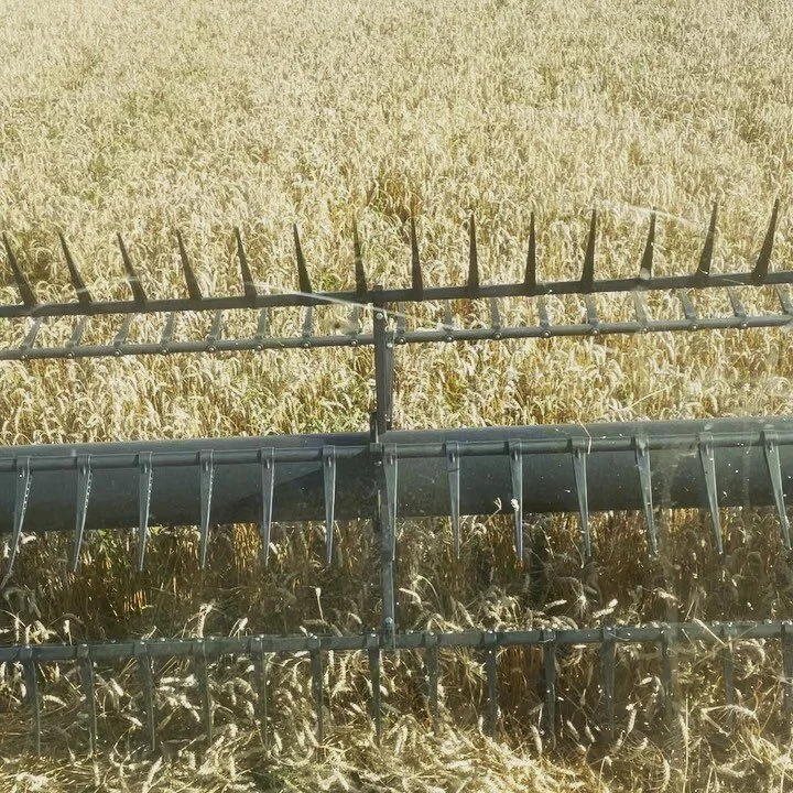 LP Consulting for a healthy farm business