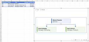 How to Use the Microsoft Excel Visio Data Visualizer Add-In — Helping ...