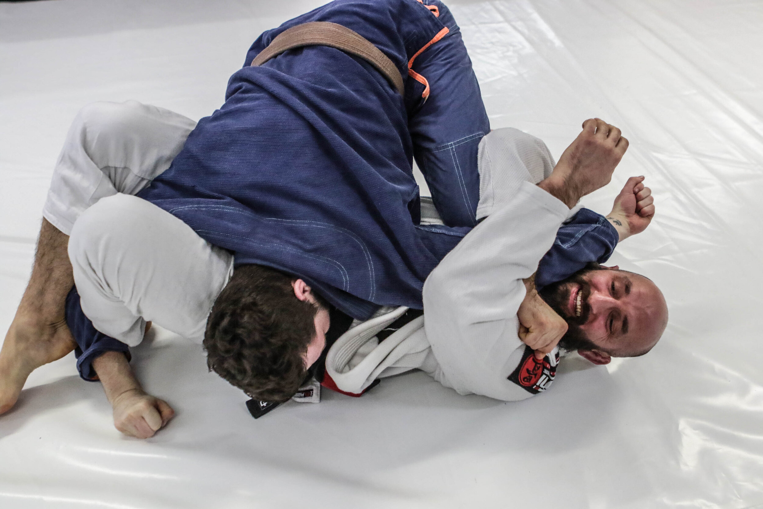 BJJ class schedule Dublin 2 | Republic of Jiu Jitsu