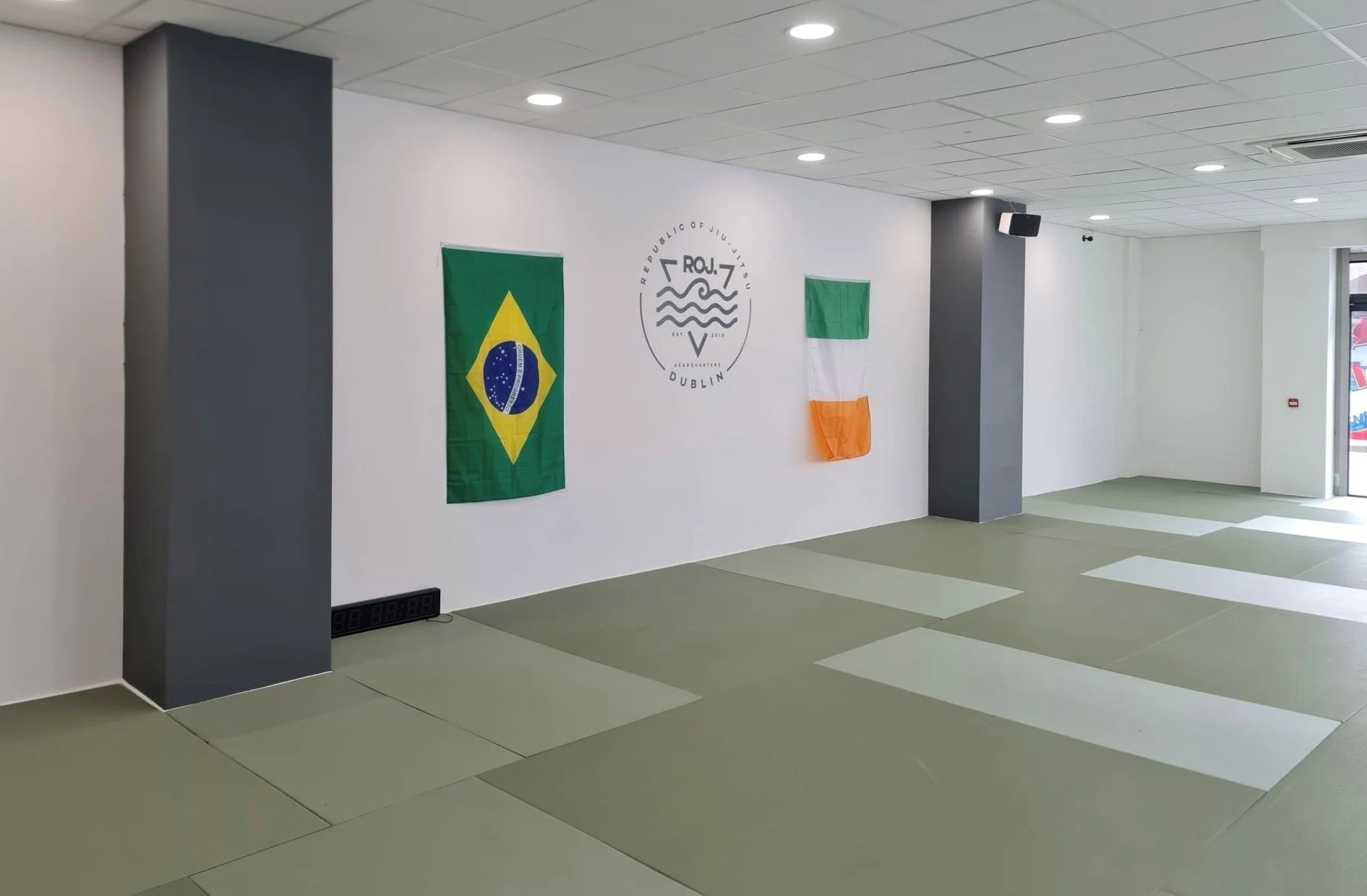 BJJ class schedule Dublin 2 | Republic of Jiu Jitsu