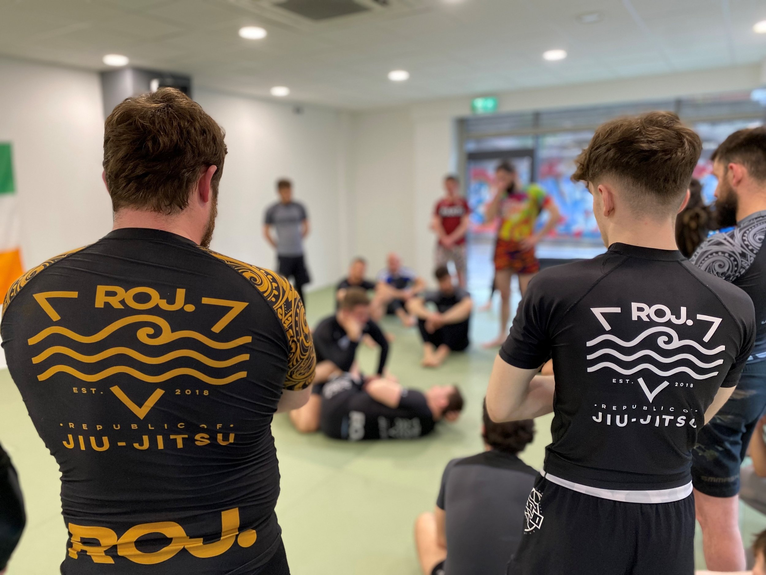 Brazilian Jiu Jitsu Classes in Dublin, D2 | Republic of Jiu Jitsu