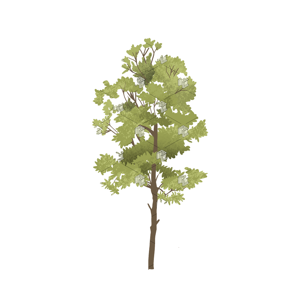 Cutout Illustration