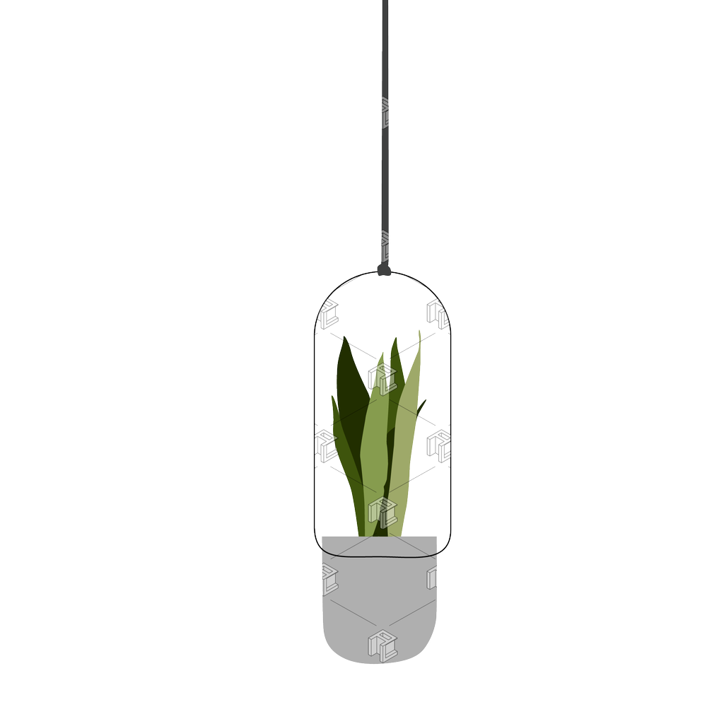 Hanging Flower Pot Png