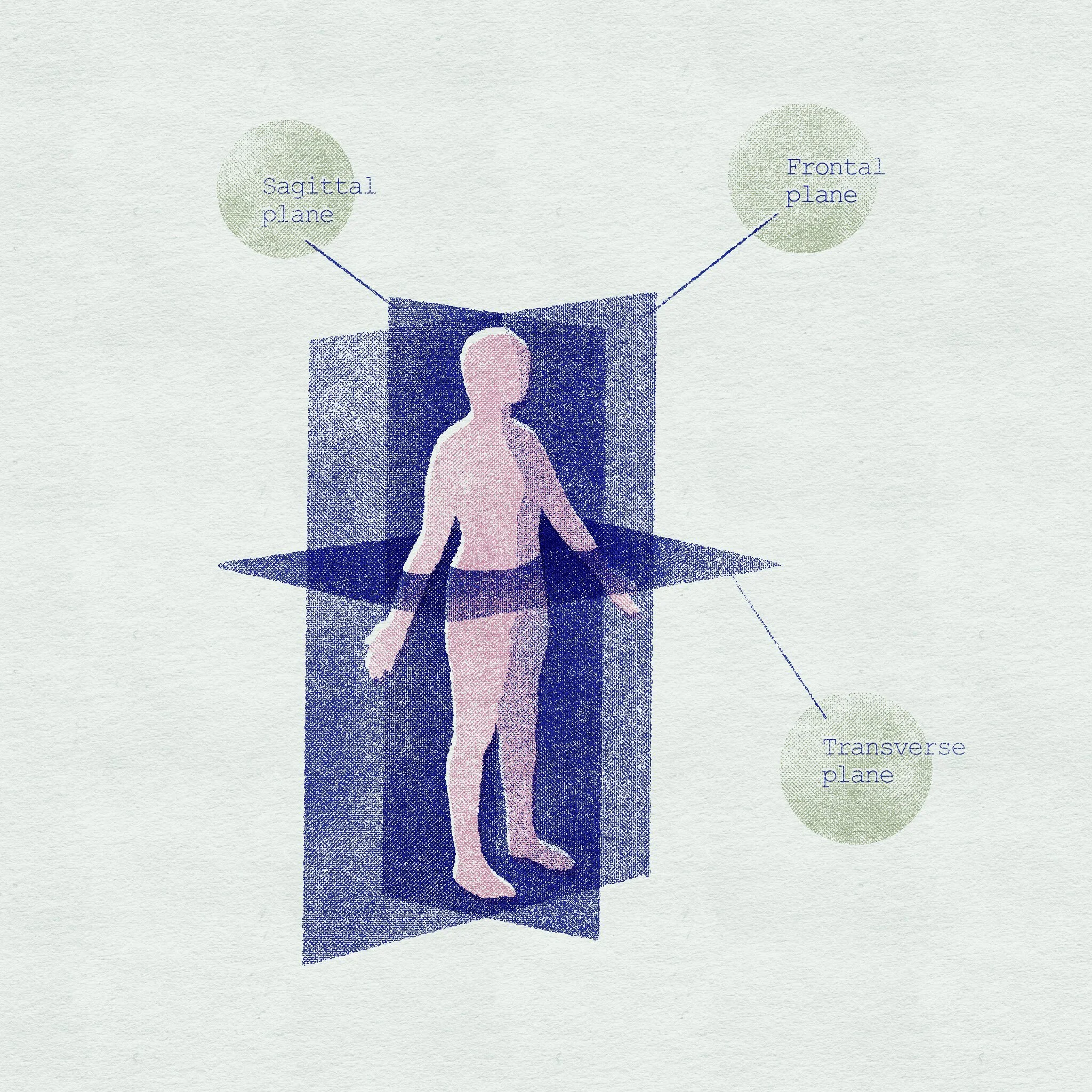 Illustrations examples by a Freelance Data Visualization and ...